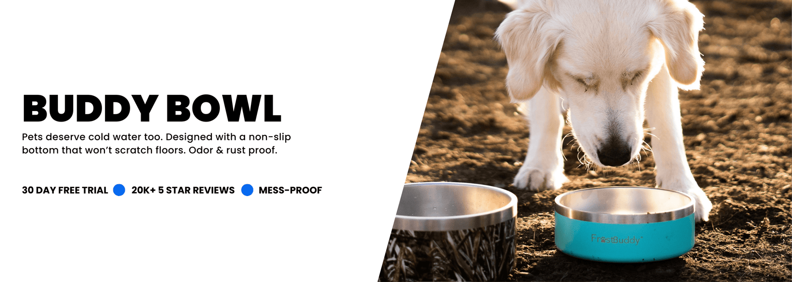 Buddy Bowl