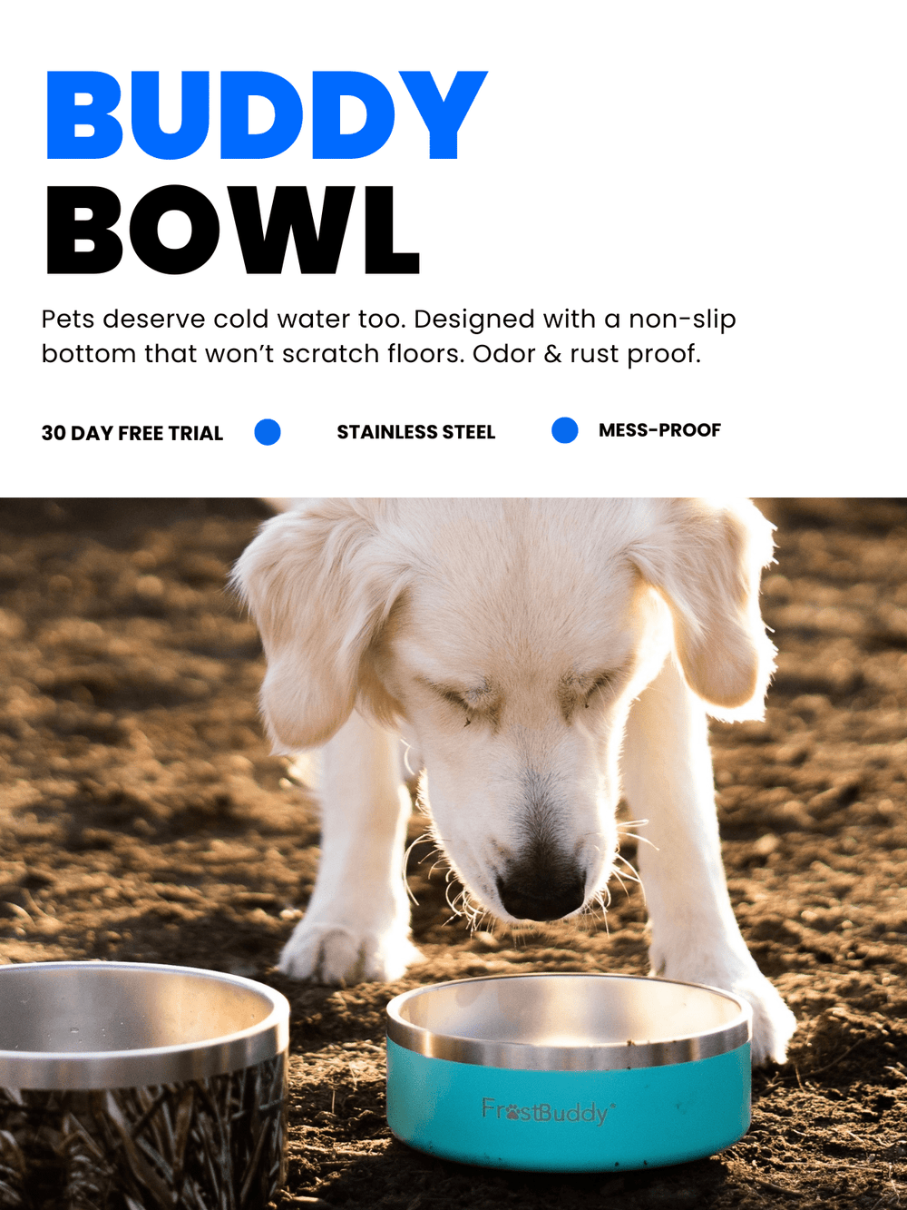 Buddy Bowl